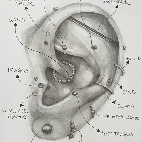 Quality Piercing Jewellery › Wildcat Ireland